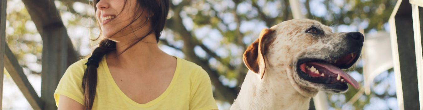 Cuida de tu compañero para pasar un feliz verano | Monvets Centre ...